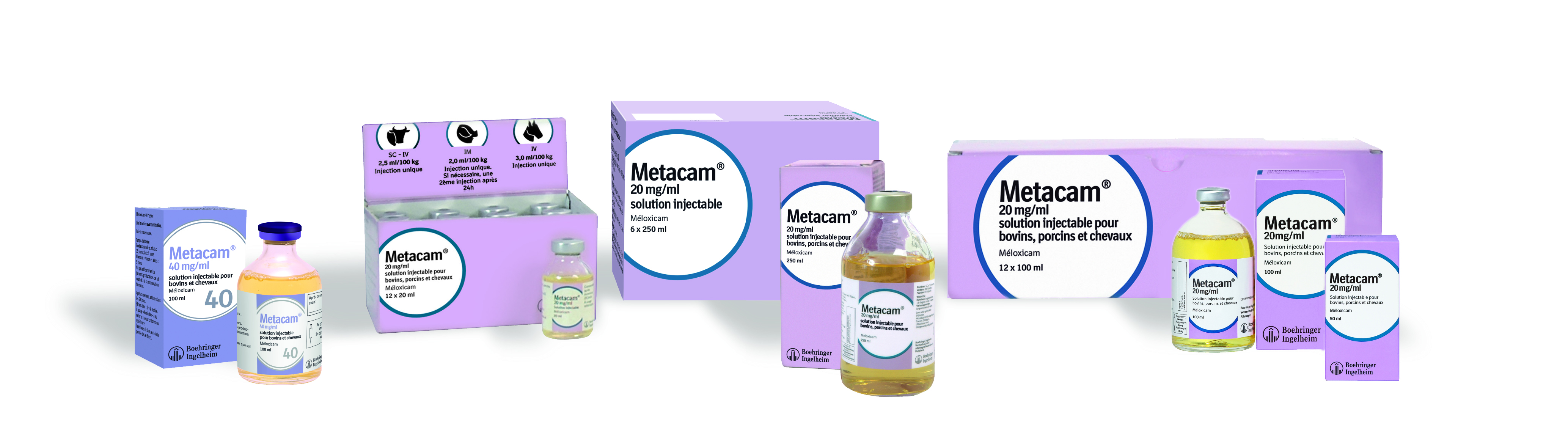 Metacam pour bovins célèbre son 20 e anniversaire