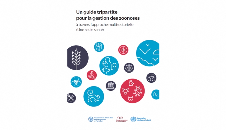 Gestion des zoonoses : un guide tripartite Une seule santé