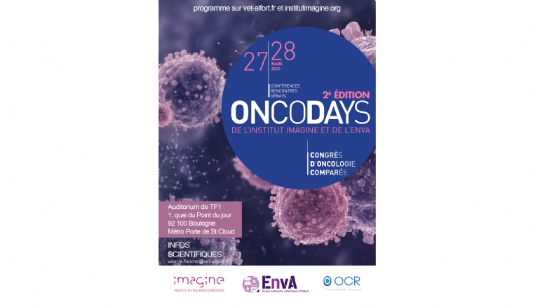 La deuxième édition des Oncodays annulée
