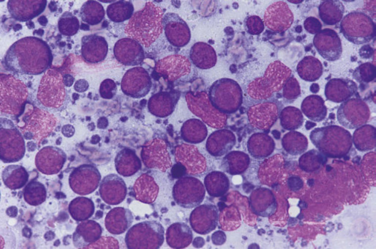 Cytologie au quotidien