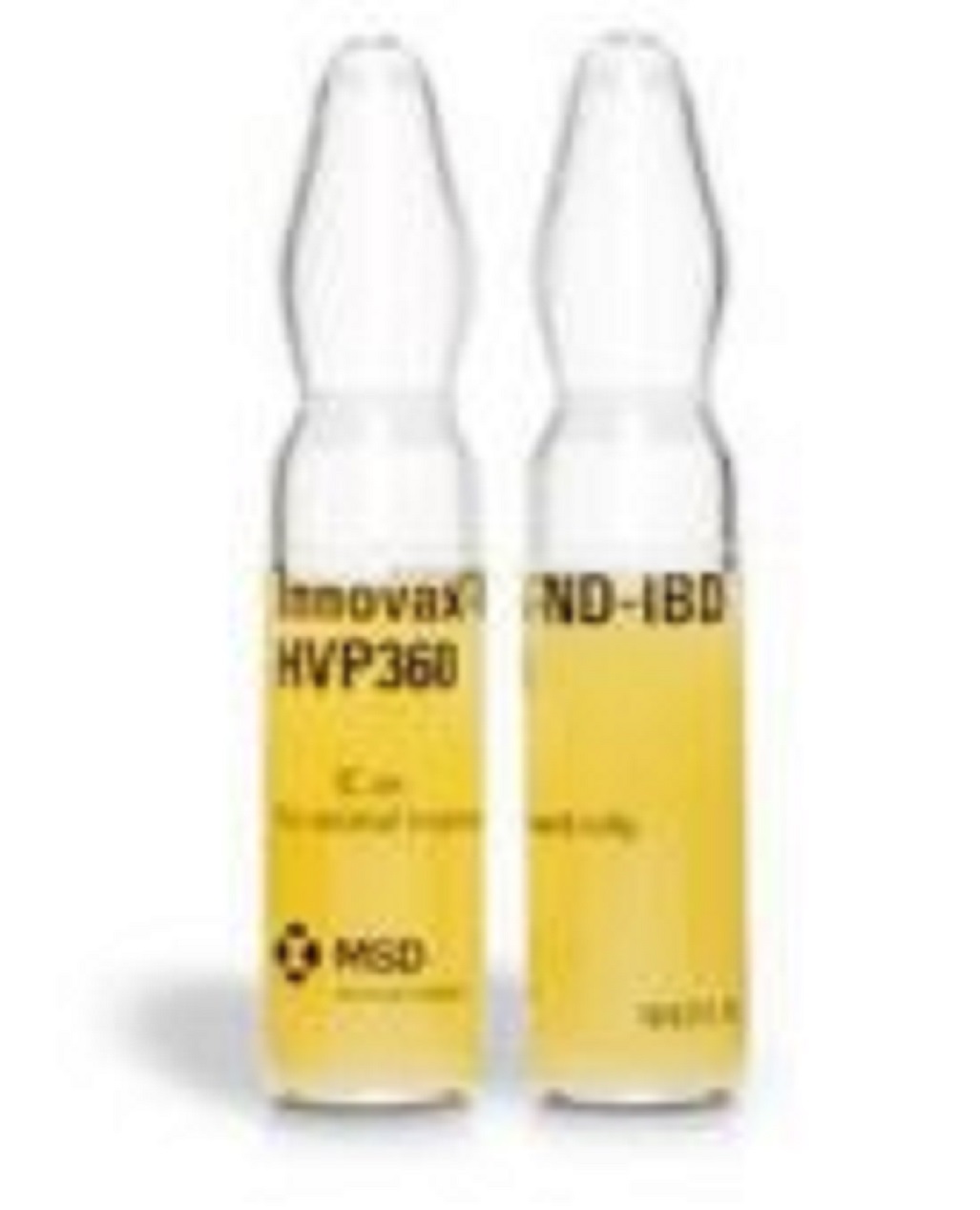 Innovax ND-IBD : protection de 60 semaines contre les virus de la ...