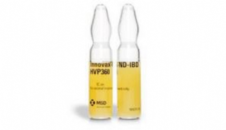 Innovax ND-IBD : protection de 60 semaines contre les virus de la ...