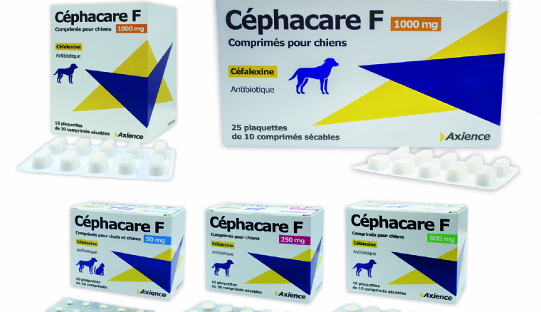 Axience propose Céphacare F 1 000 mg en boîte de 100 comprimés