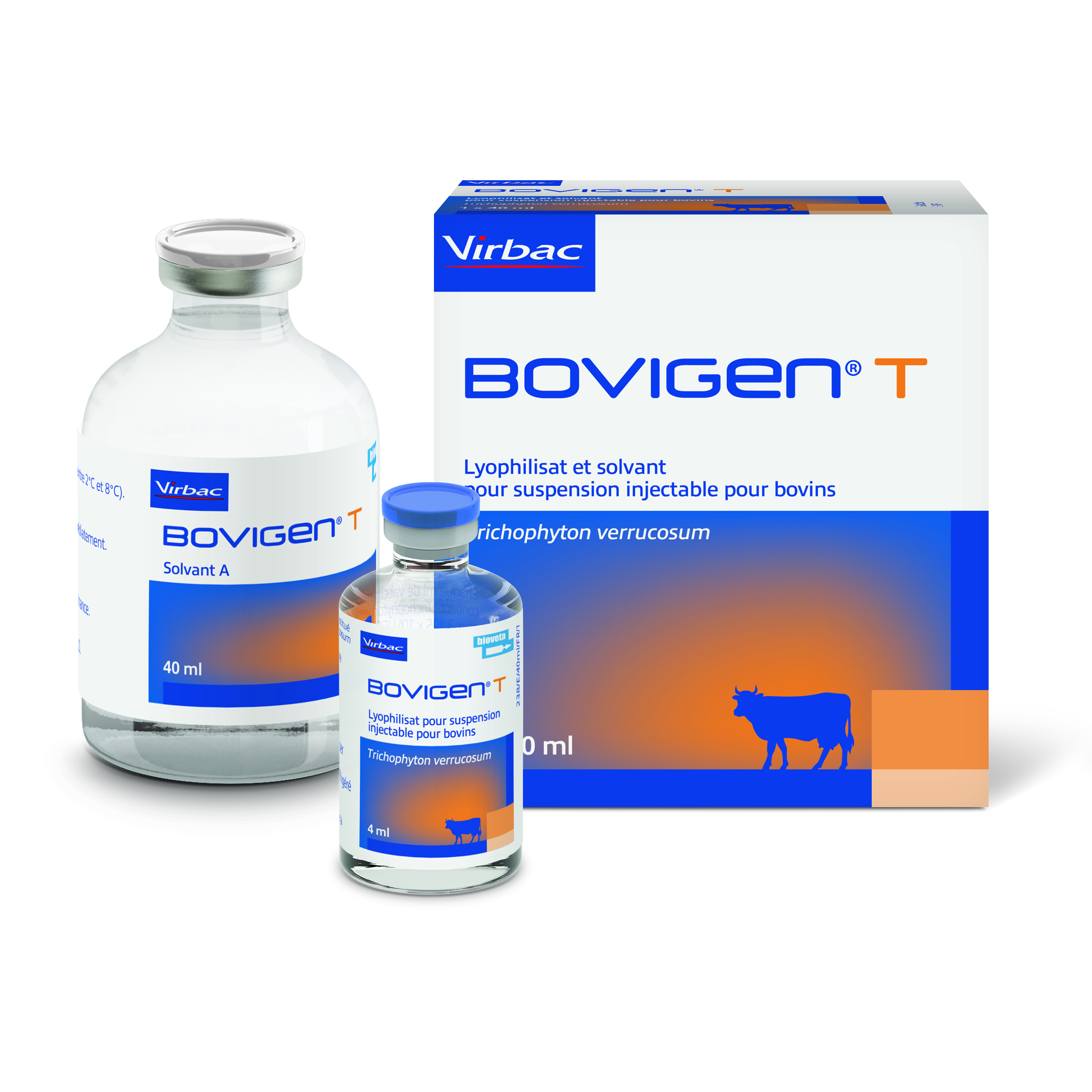 Teigne des bovins : Virbac met sur le marché Bovigen T