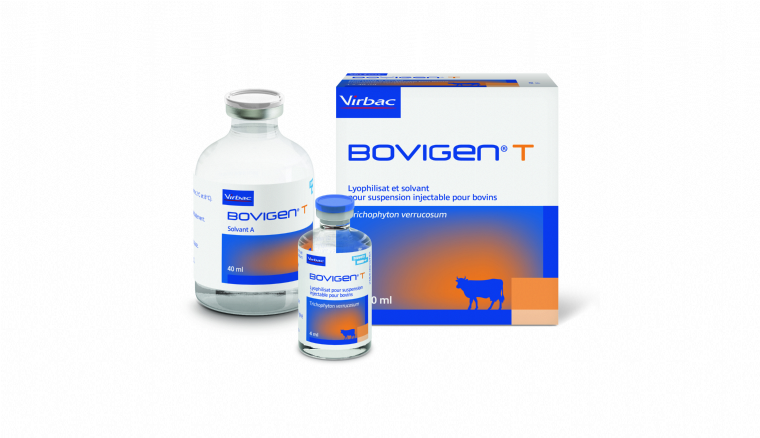 Teigne des bovins : Virbac met sur le marché Bovigen T