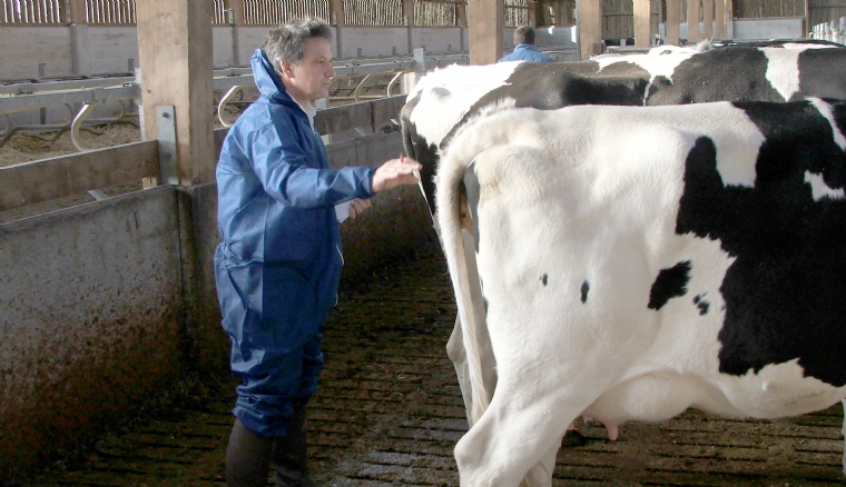 Les vétérinaires s'adaptent à l'évolution des filières animales