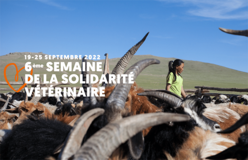 AVSF organise la Semaine de la solidarité en septembre pour aider les ...