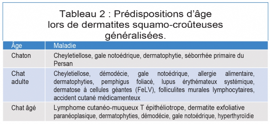 Dermatite squamo-croûteuse généralisée chez le chat : l'anamnèse