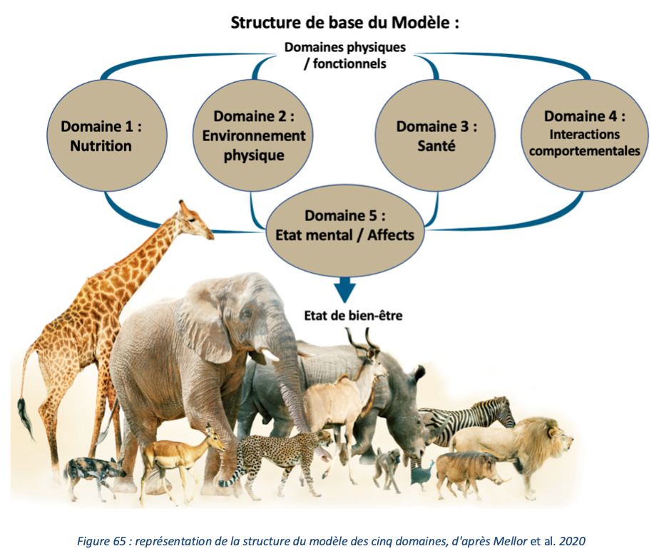 Un nouvel outil d'évaluation objective du bien-être animal des espèces ...